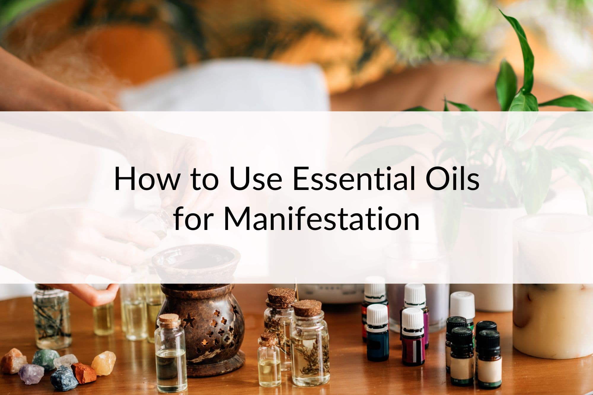 How to Use Essential Oils for Manifestation | Manifest a Perfect Life