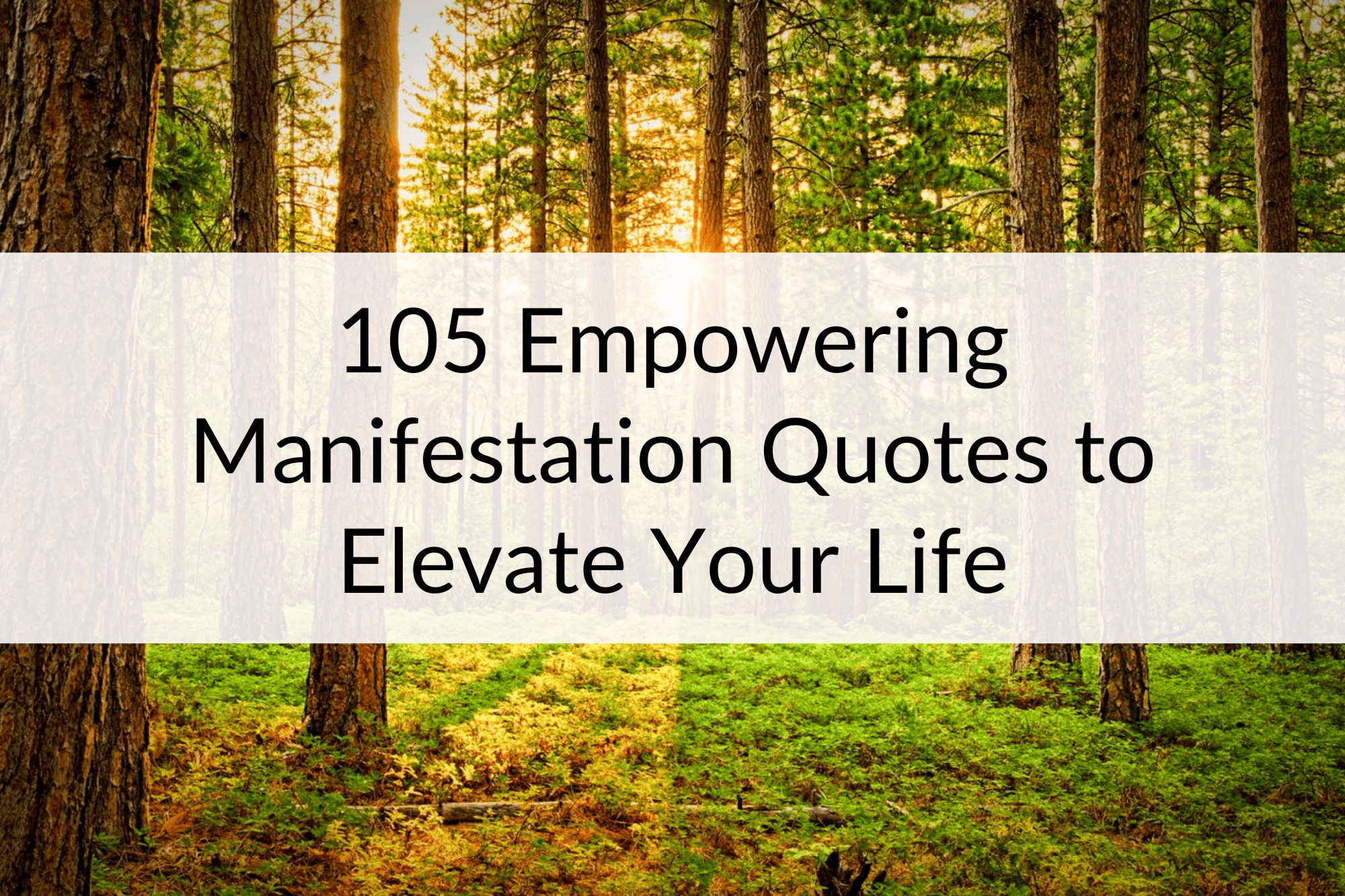 105 Inspiring Manifestation Quotes | Manifest a Perfect Life