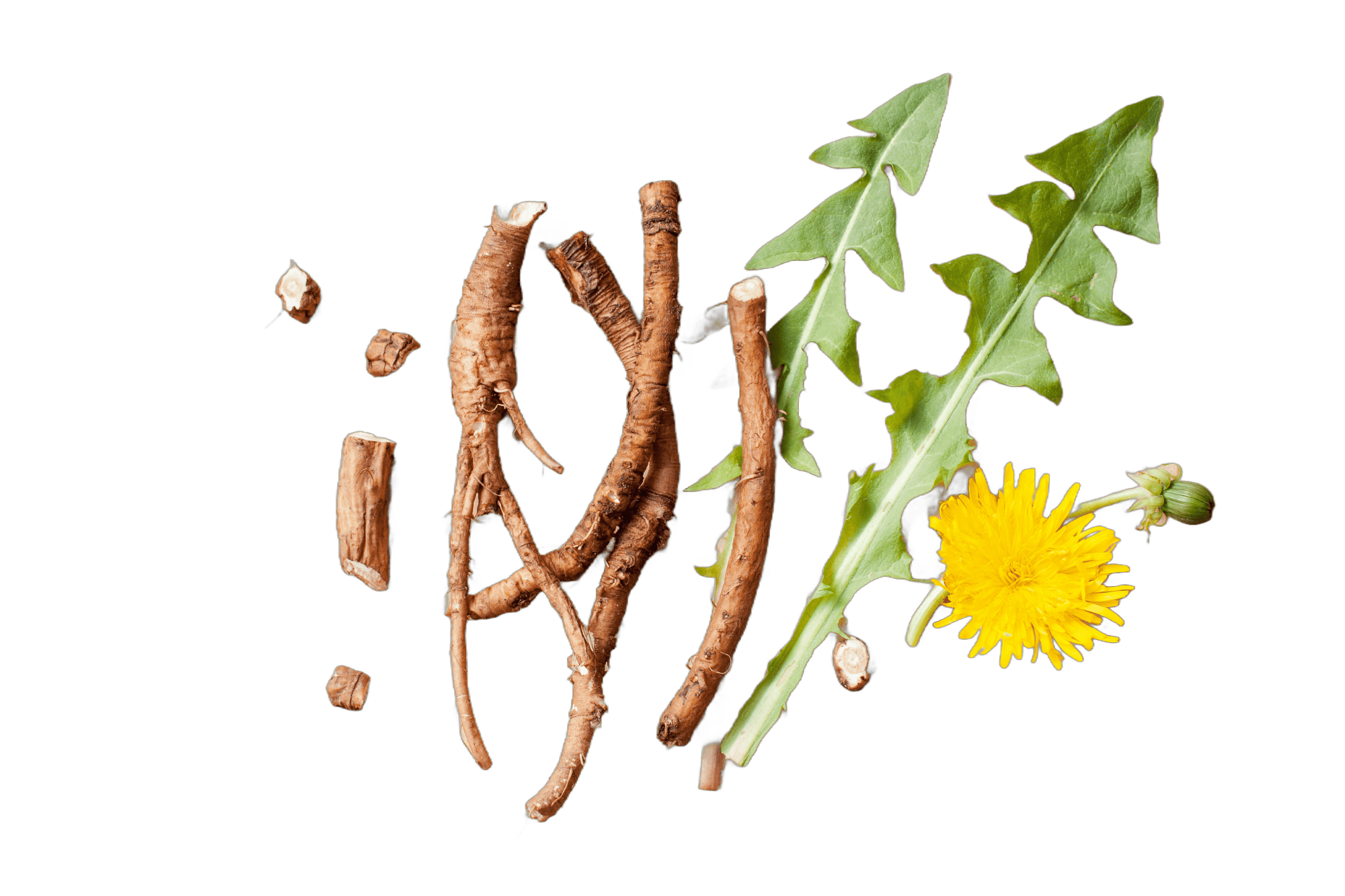 20 Best Herbs for Manifestation | Manifest a Perfect Life
